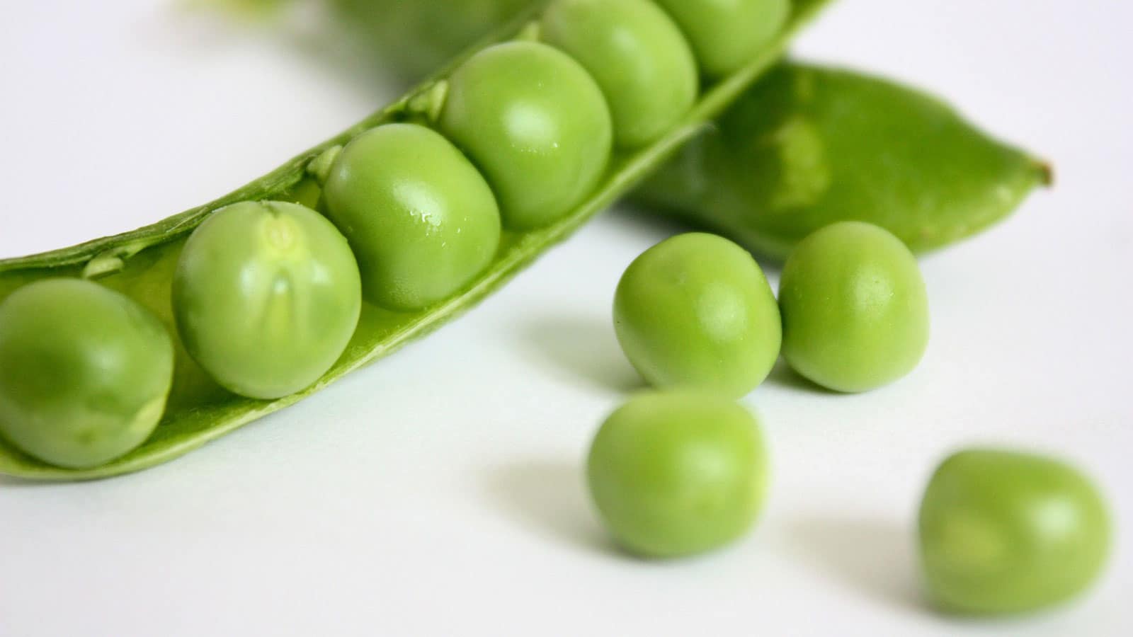 Continued strong growth in the global pea protein market - Eurosoy